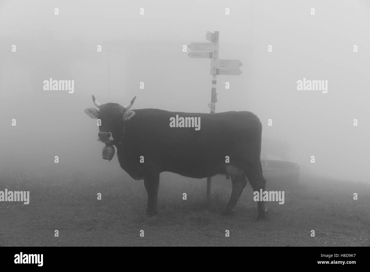 Alp nova hi-res stock photography and images - Alamy