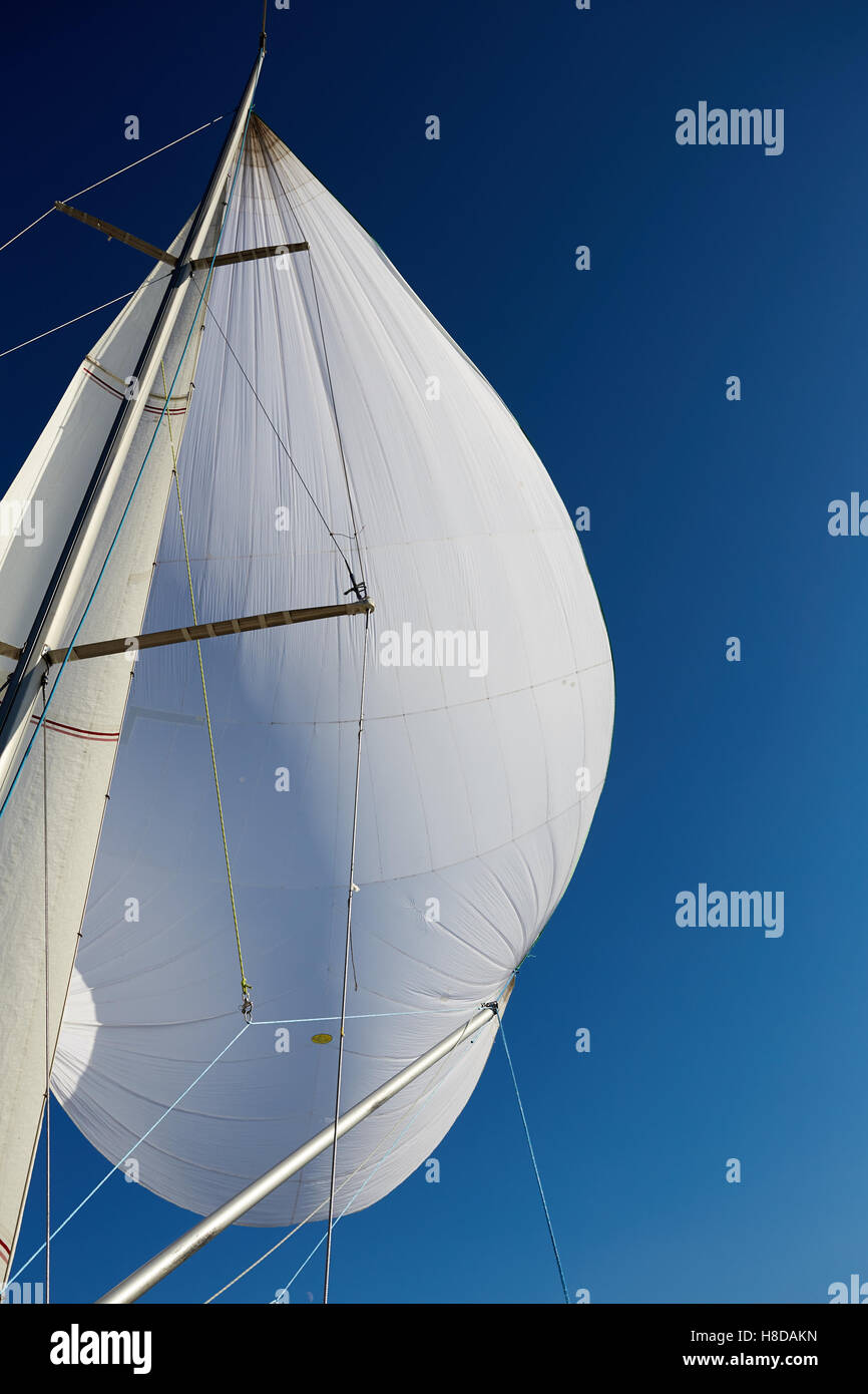 Rigging the symmetric spinnaker Stock Photo - Alamy
