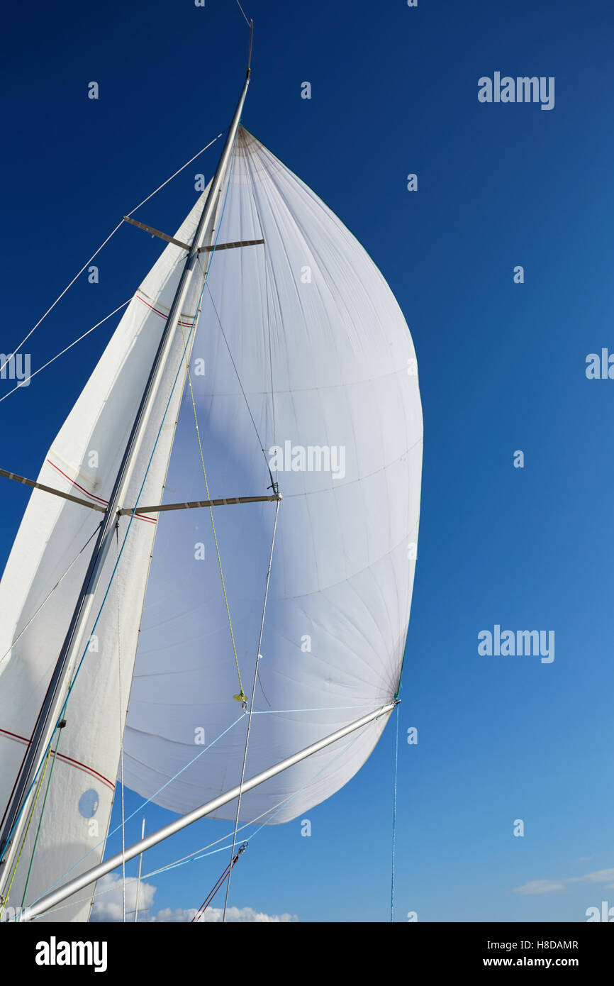 Rigging the symmetric spinnaker Stock Photo - Alamy