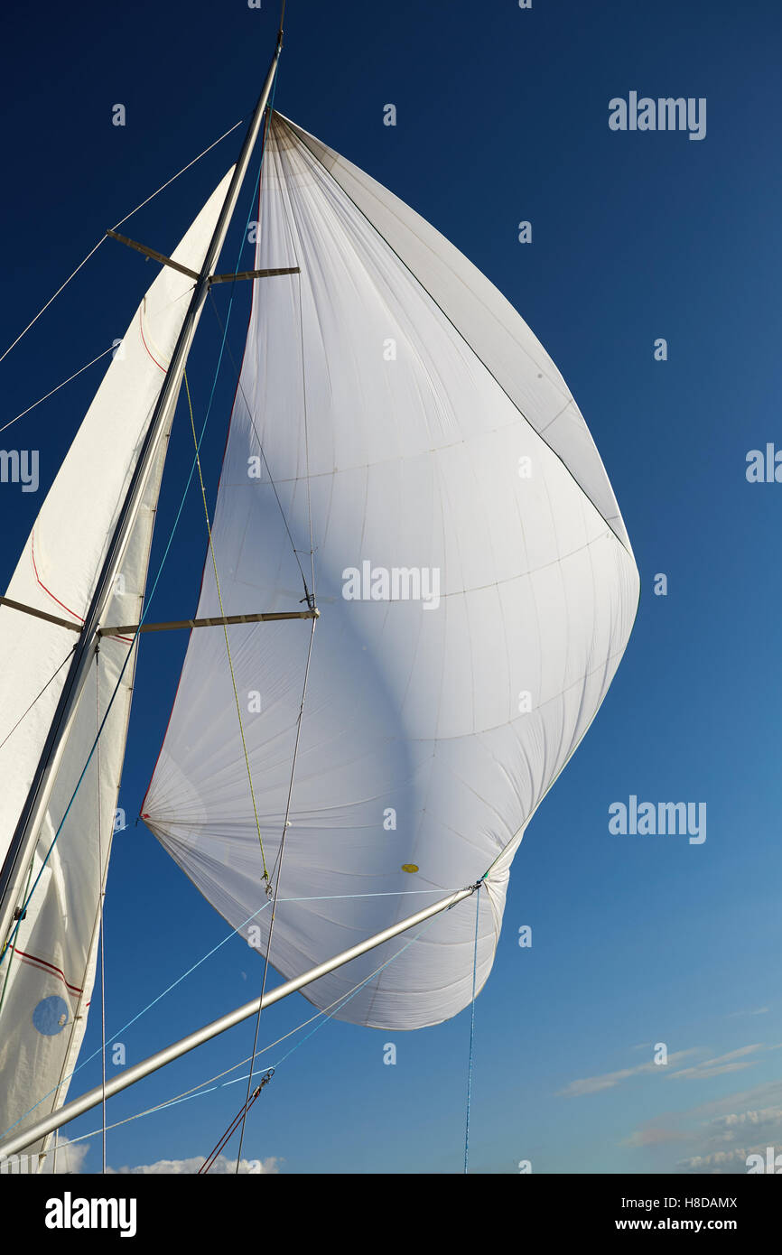 Rigging the symmetric spinnaker Stock Photo - Alamy