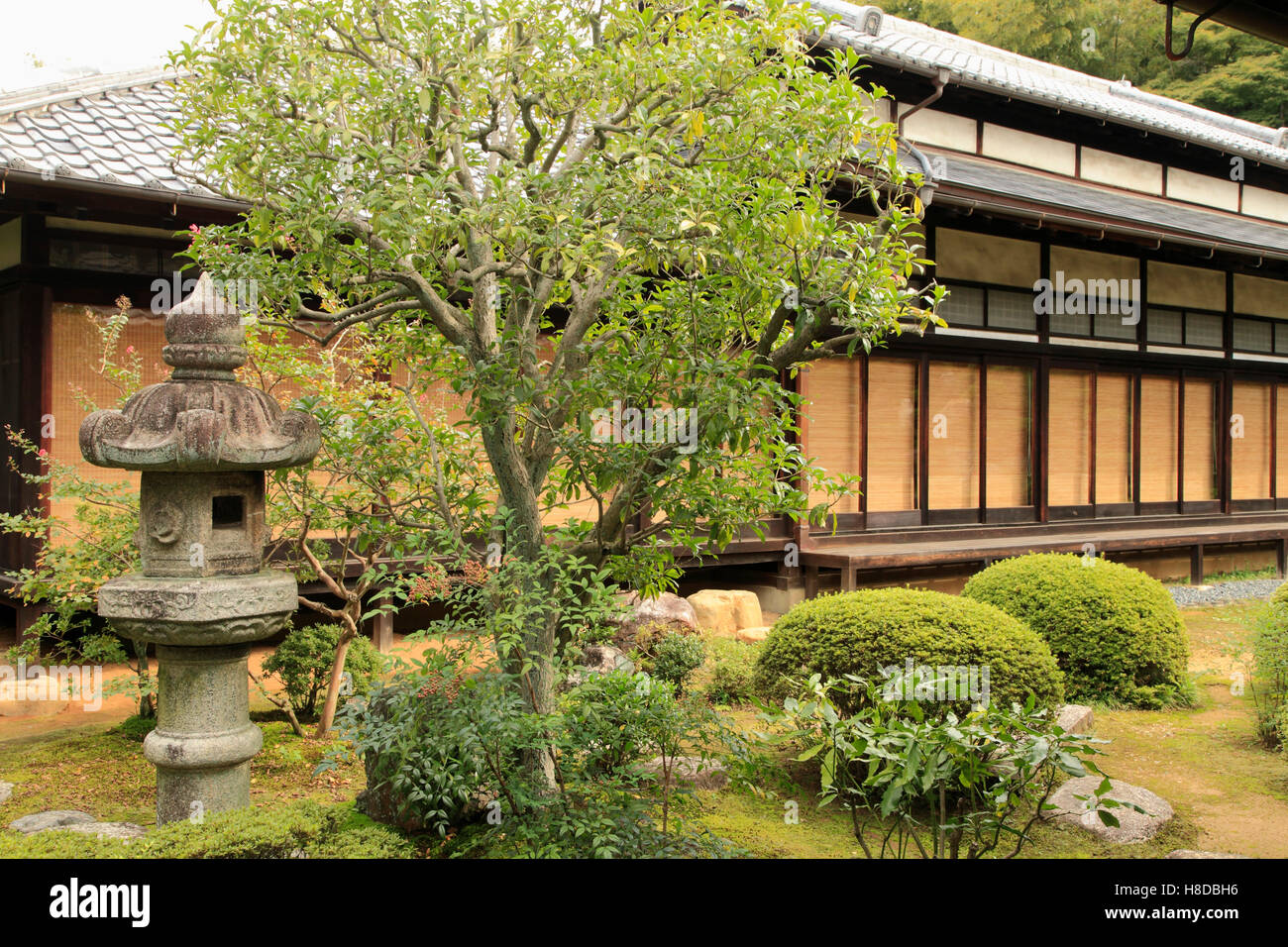 Japan, Kyoto, Chishaku-in Temple, garden Stock Photo - Alamy
