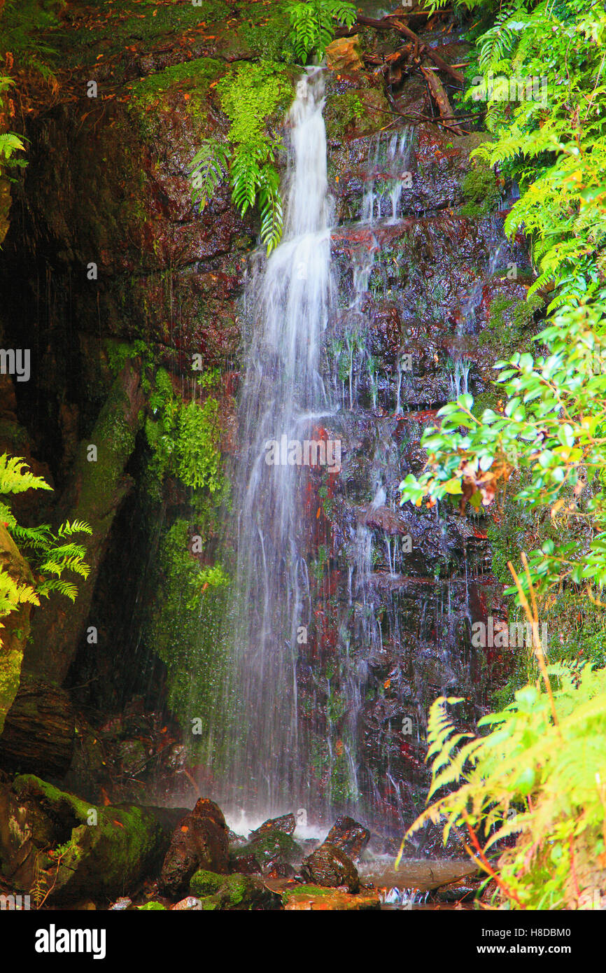Japan, Kyoto, Matsuo Taisha, Shinto Shrine, waterfall Stock Photo - Alamy