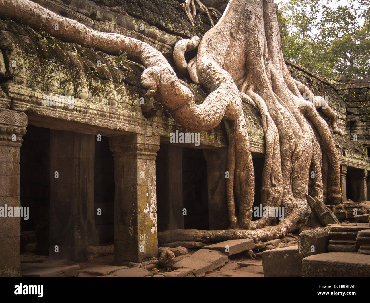 Cambodia Temple Ruins - Angkor Wat Stock Photo - Alamy