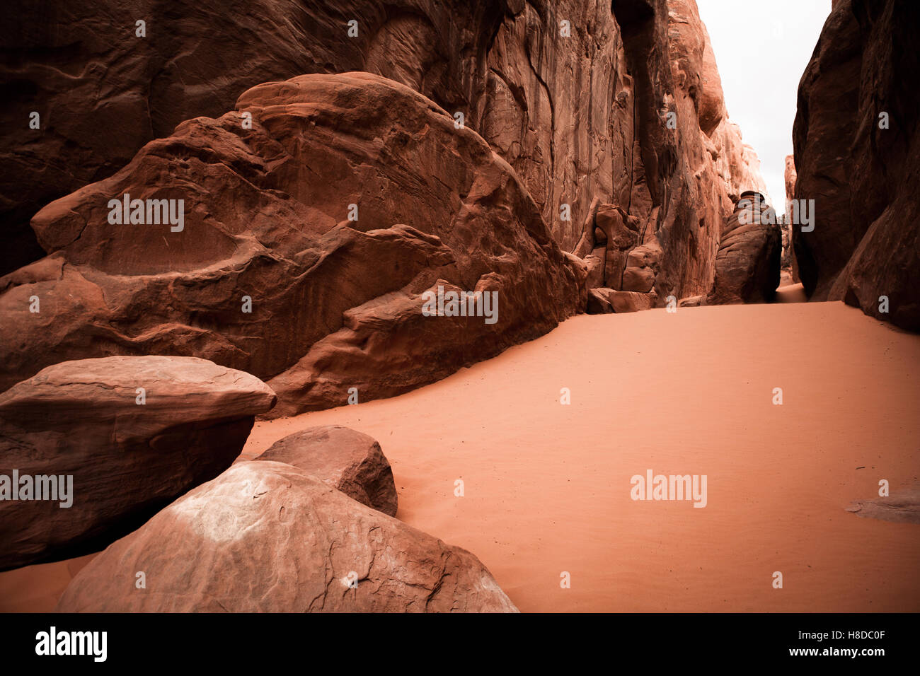 Red Sand in Desert Canyon Stock Photo - Alamy