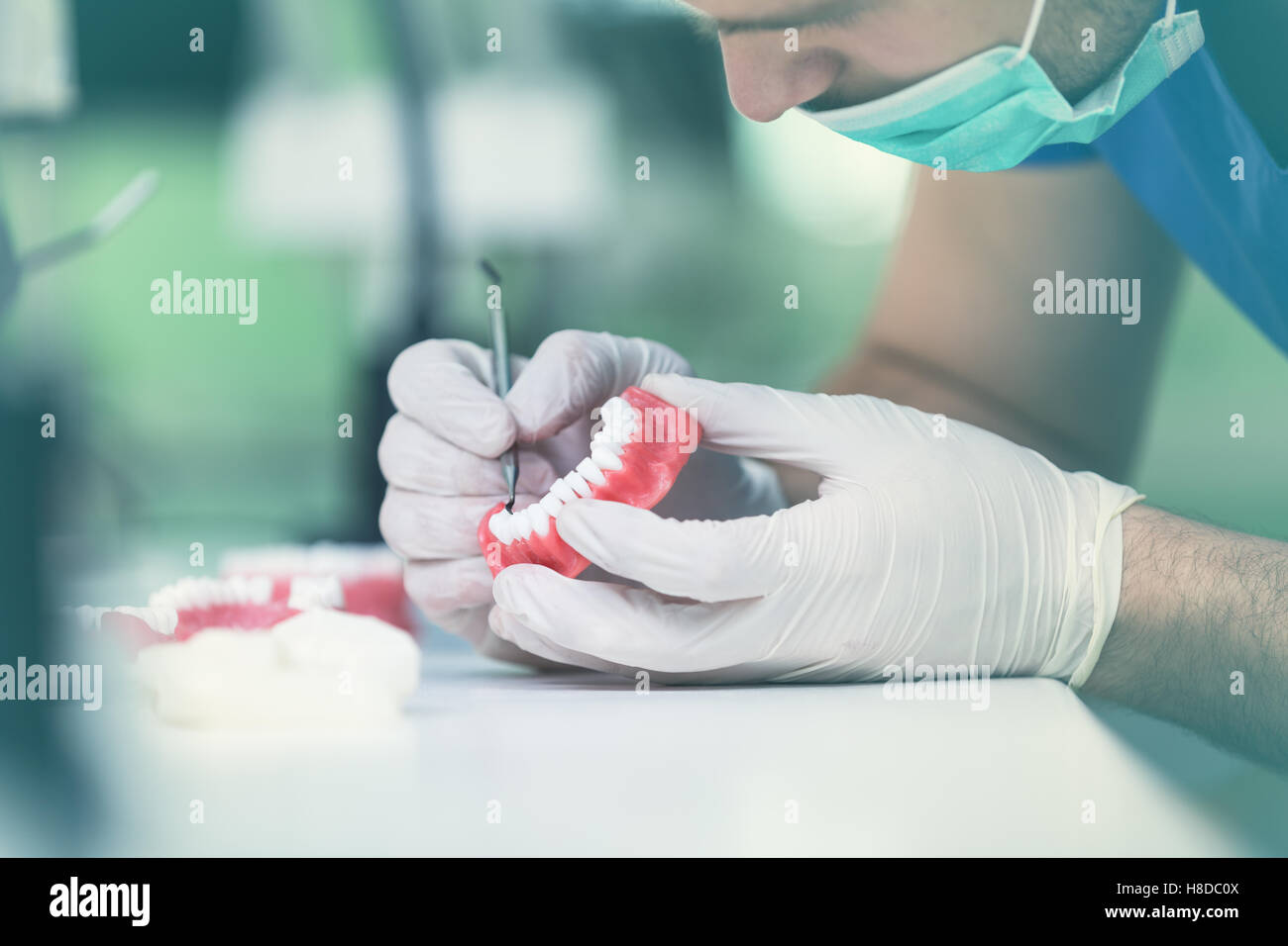 Dental students while working on the denture, false teeth Stock Photo ...
