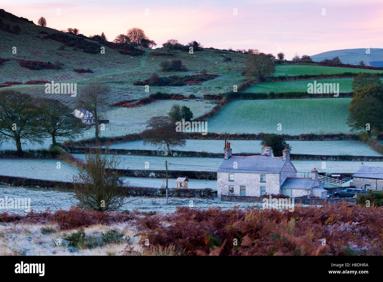 Frozen farmland in the rural village of Rhes-y-Cae located in the ...