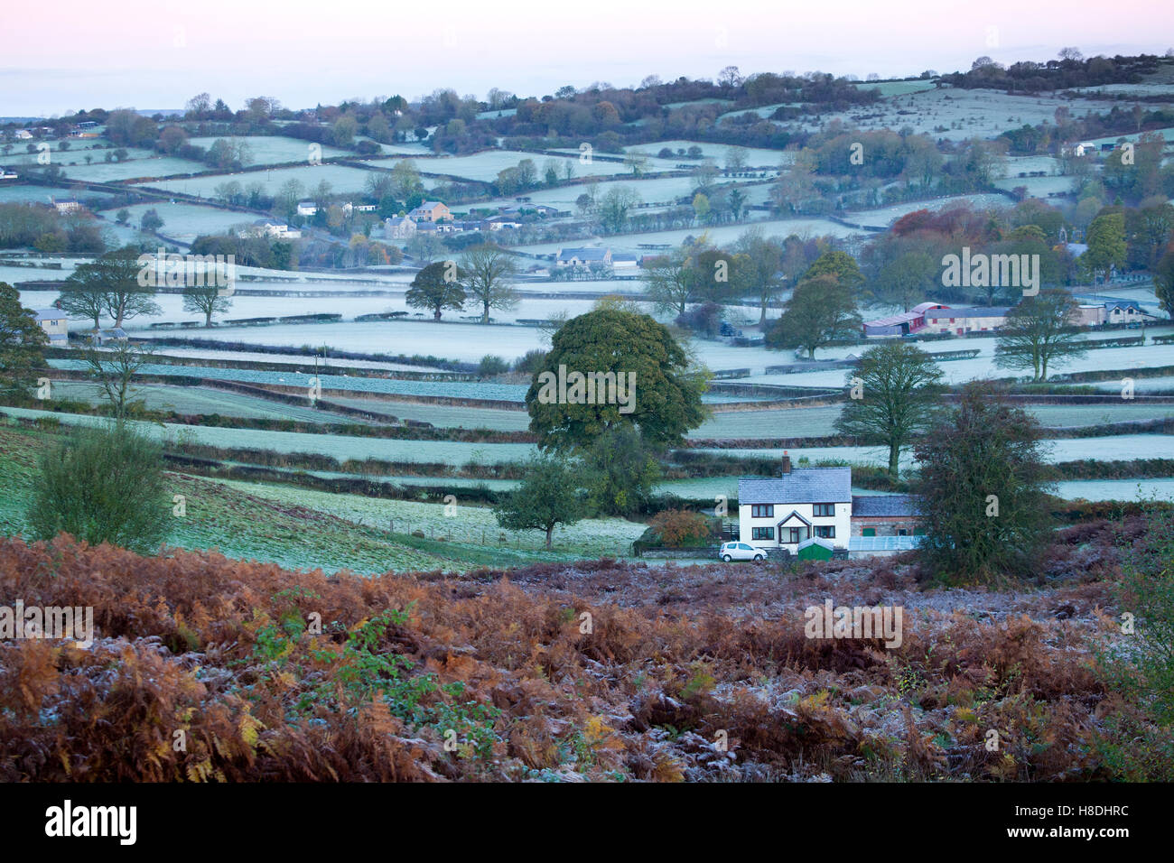 Field frost farming hi-res stock photography and images - Alamy