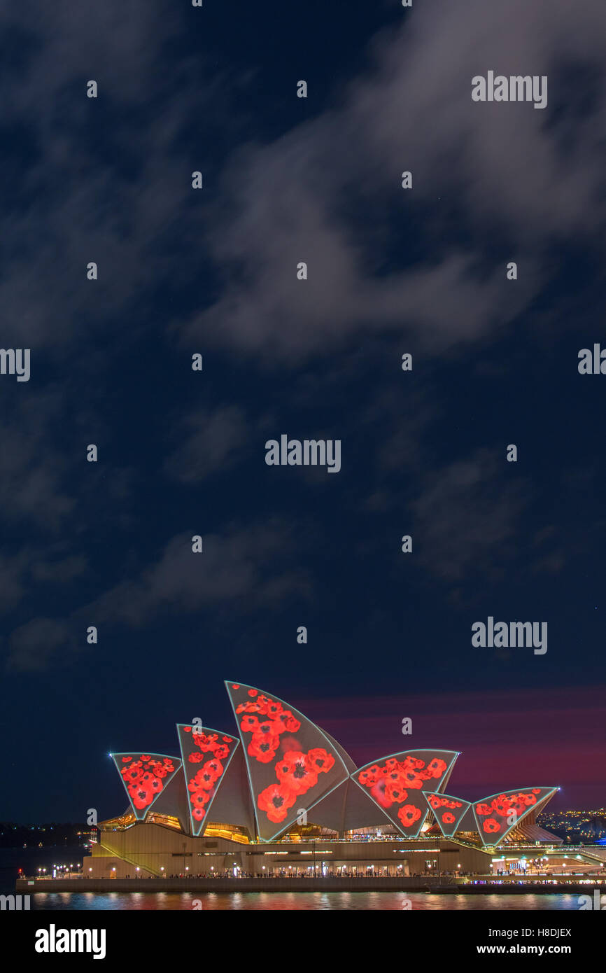 Sydney opera house poppies hi-res stock photography and images - Alamy