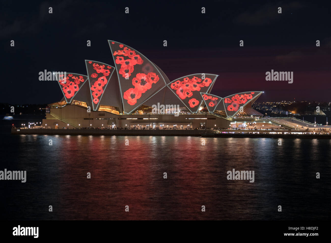 Sydney, Australia. 11th Nov, 2016. Sydney Opera House seen covered in ...