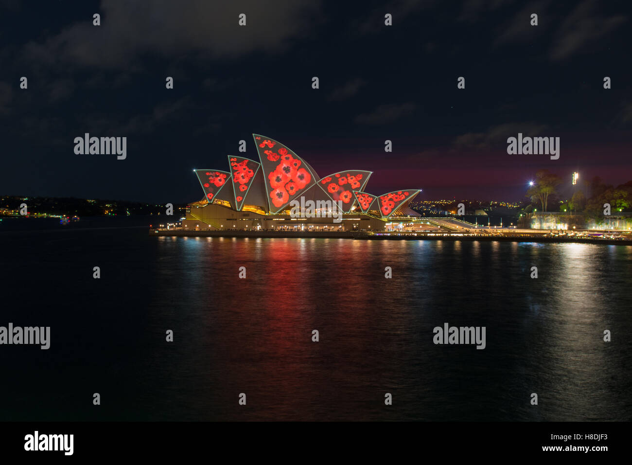 Sydney opera house poppies hi-res stock photography and images - Alamy