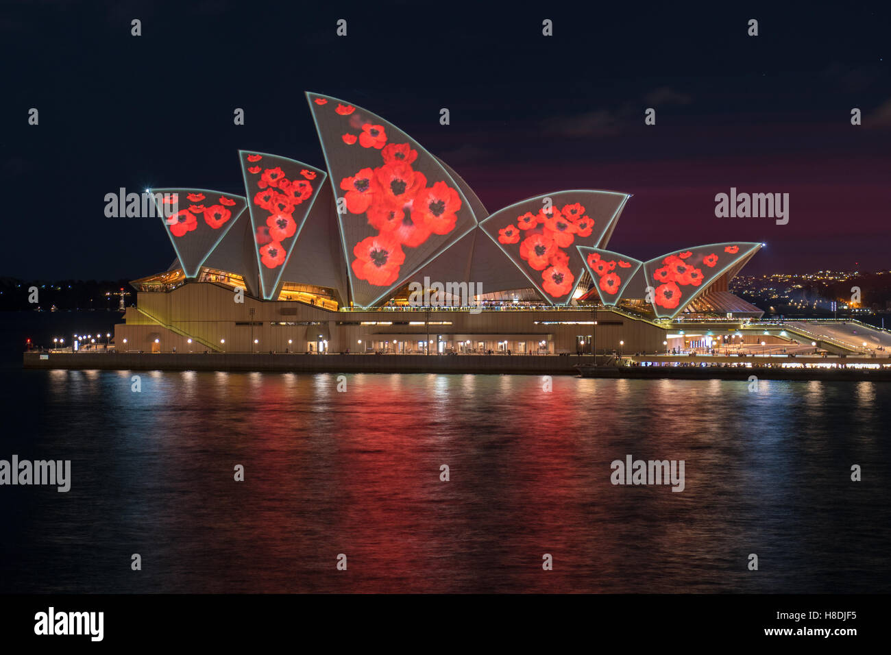 Sydney, Australia. 11th Nov, 2016. Sydney Opera House seen covered in ...