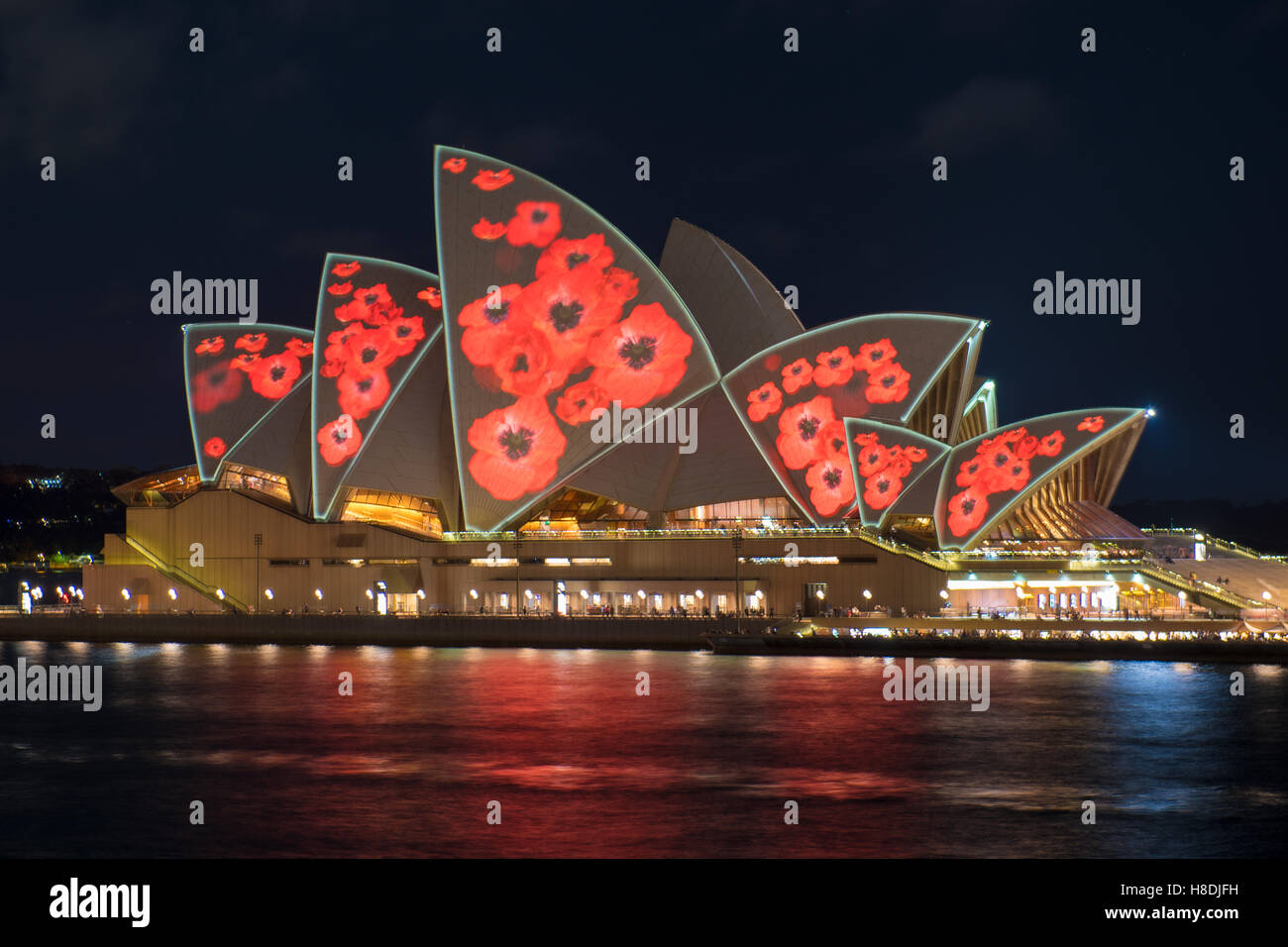 Sydney opera house poppies hi-res stock photography and images - Alamy