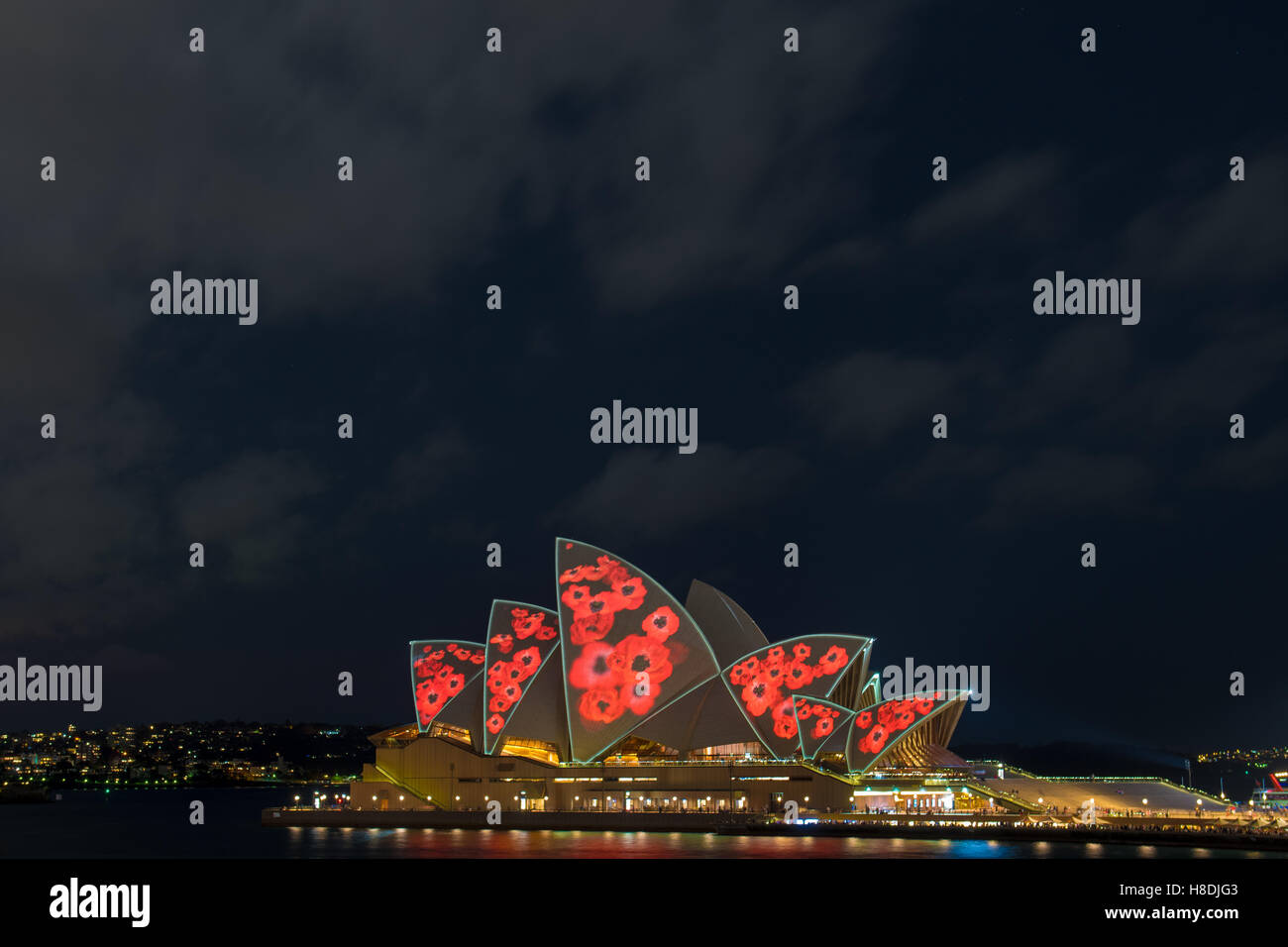 Sydney opera house poppies hi-res stock photography and images - Alamy