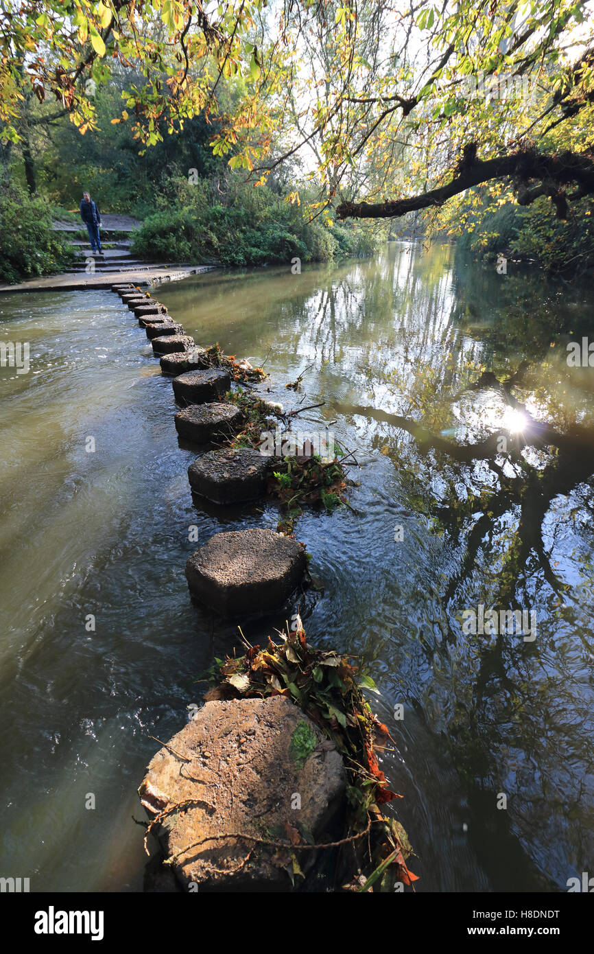 Surrey river hi-res stock photography and images - Alamy