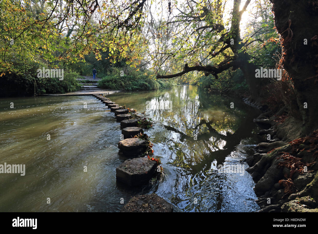 Surrey river hi-res stock photography and images - Alamy