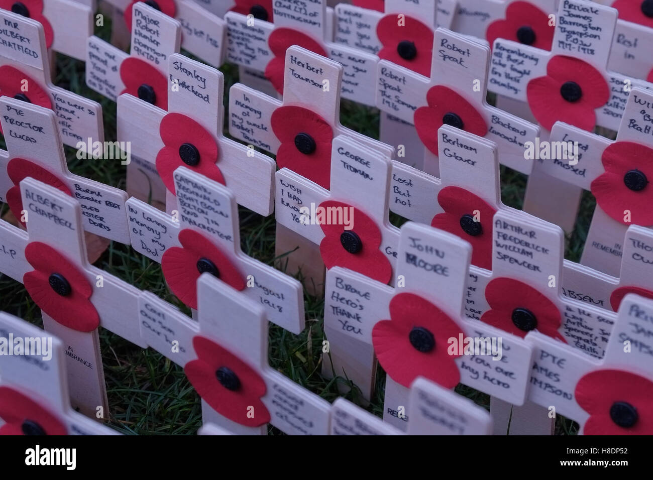 London, UK. 11th November 2016. Field of Remembrance at Westminster ...