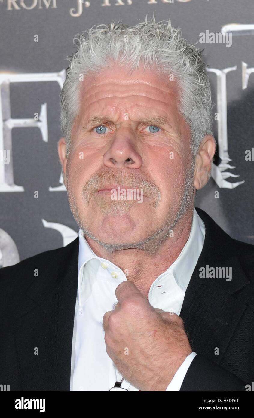New York, NY, USA. 10th Nov, 2016. Ron Perlman at arrivals for ...