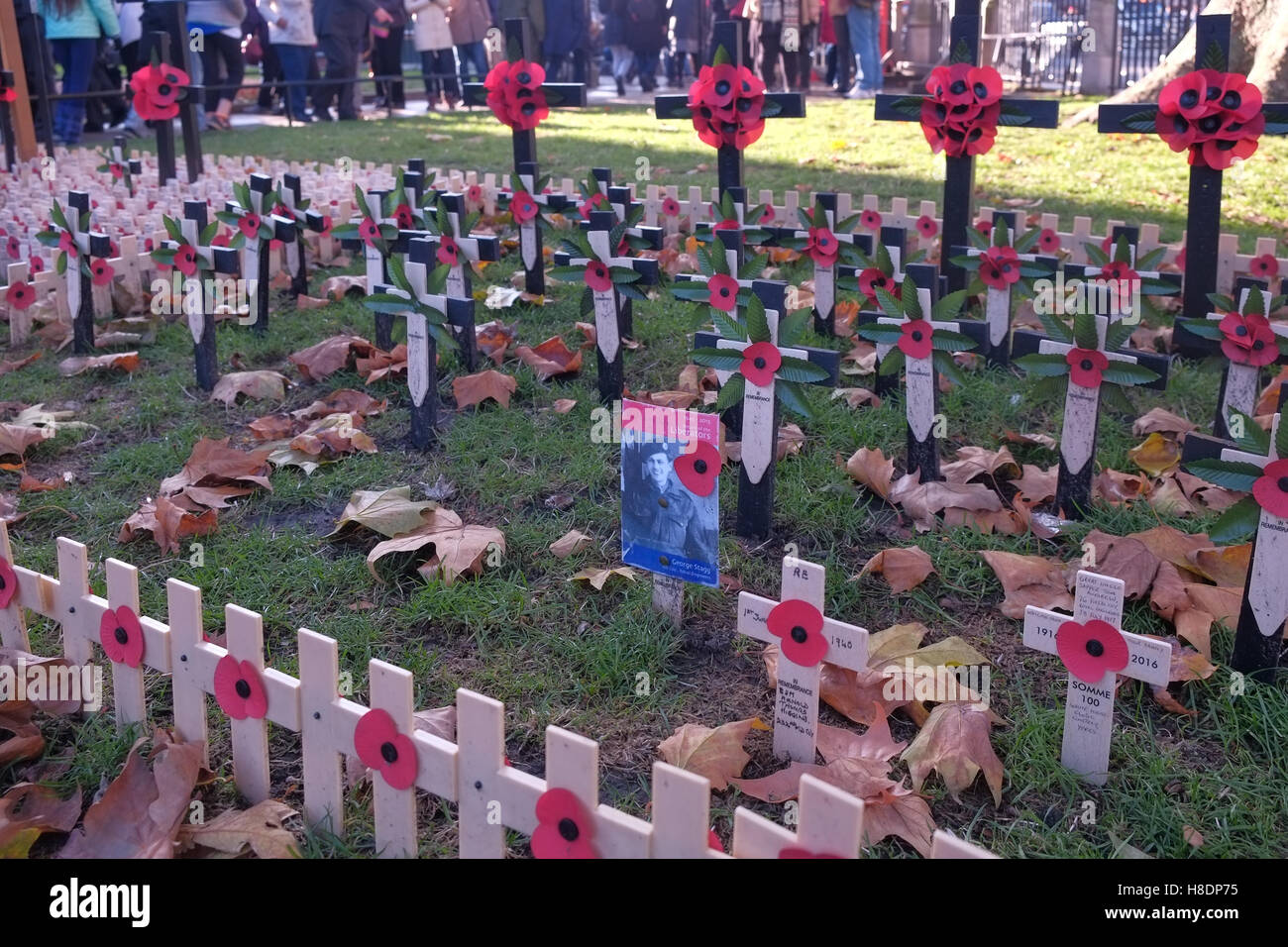 London, UK. 11th November 2016. Field of Remembrance at Westminster ...