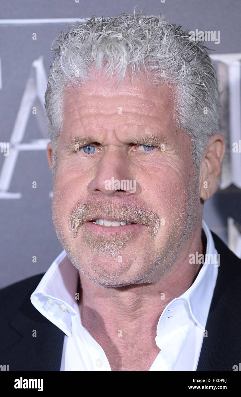 New York, NY, USA. 10th Nov, 2016. Ron Perlman at arrivals for ...