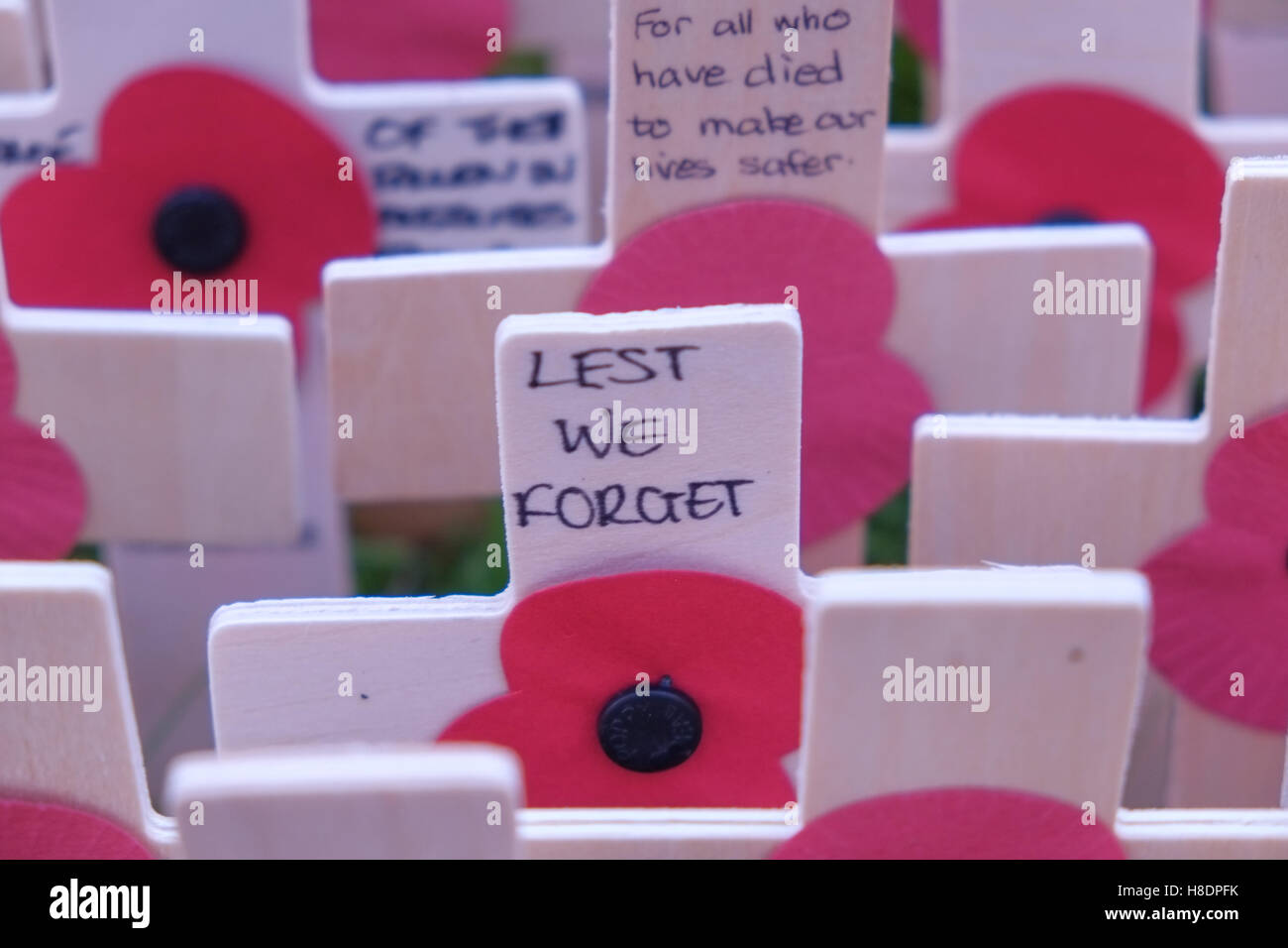 London, UK. 11th November 2016. Field of Remembrance at Westminster ...