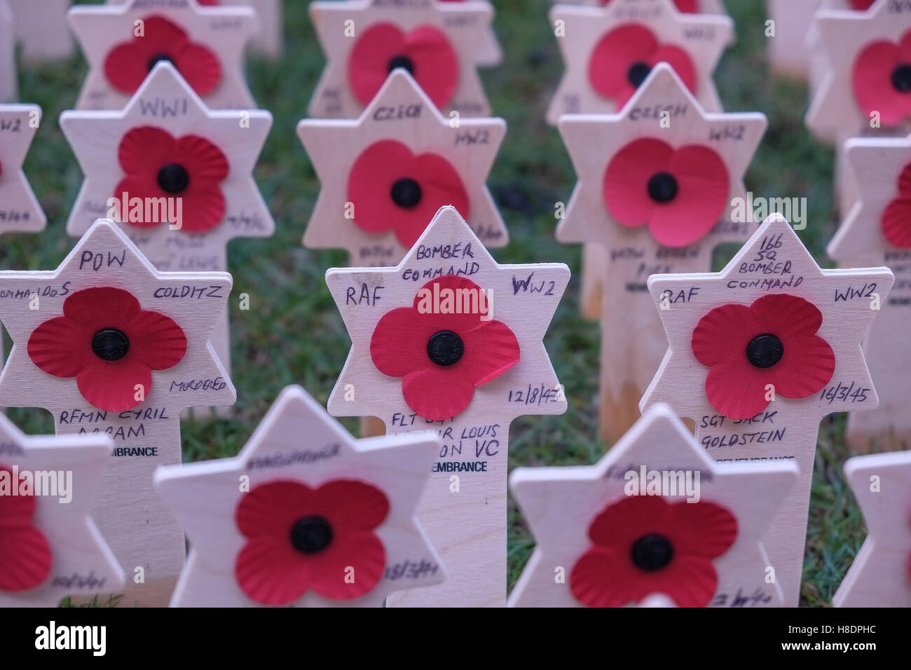 London, UK. 11th November 2016. Field of Remembrance at Westminster ...