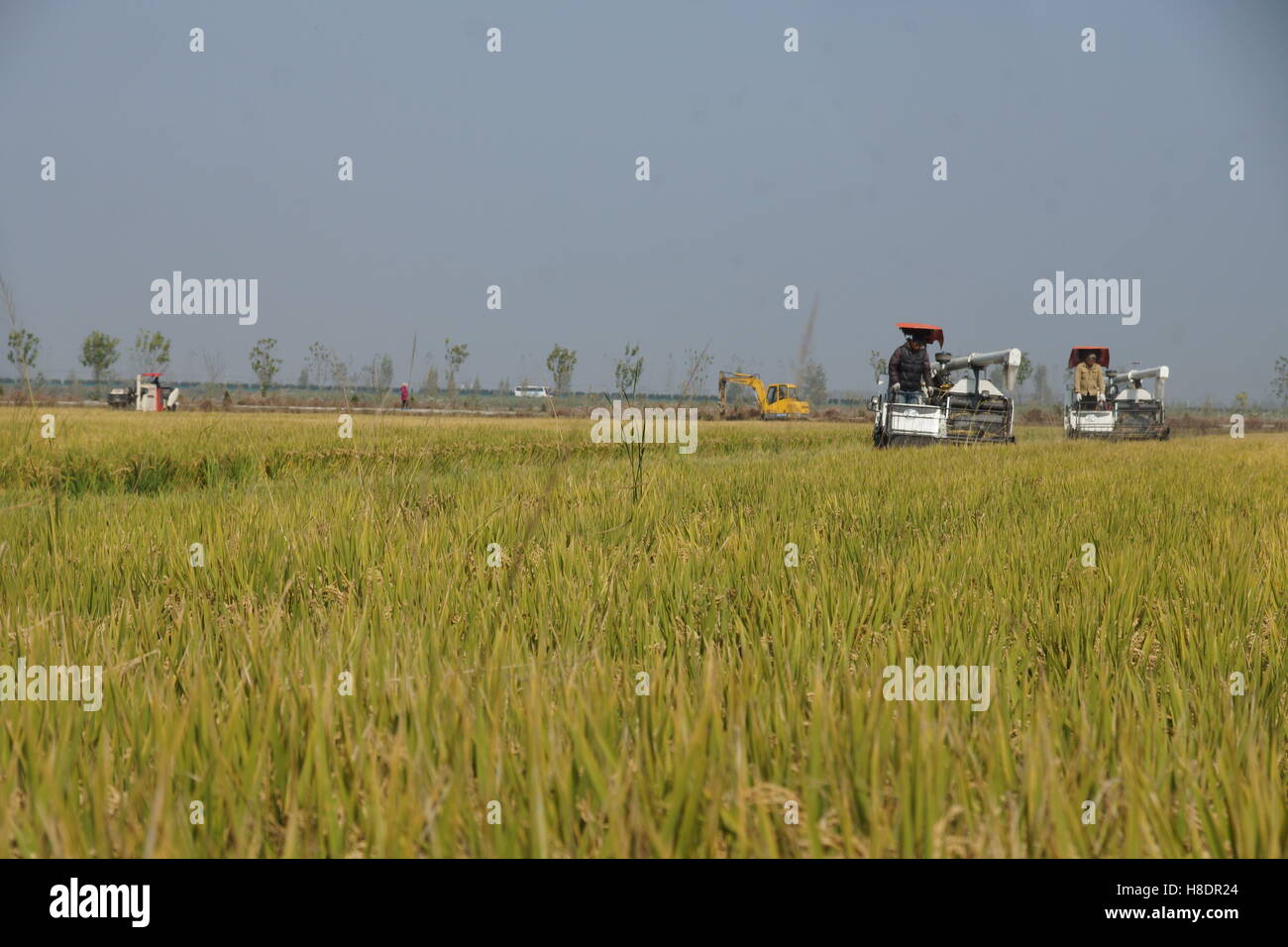 Making a paddy field hi-res stock photography and images - Alamy
