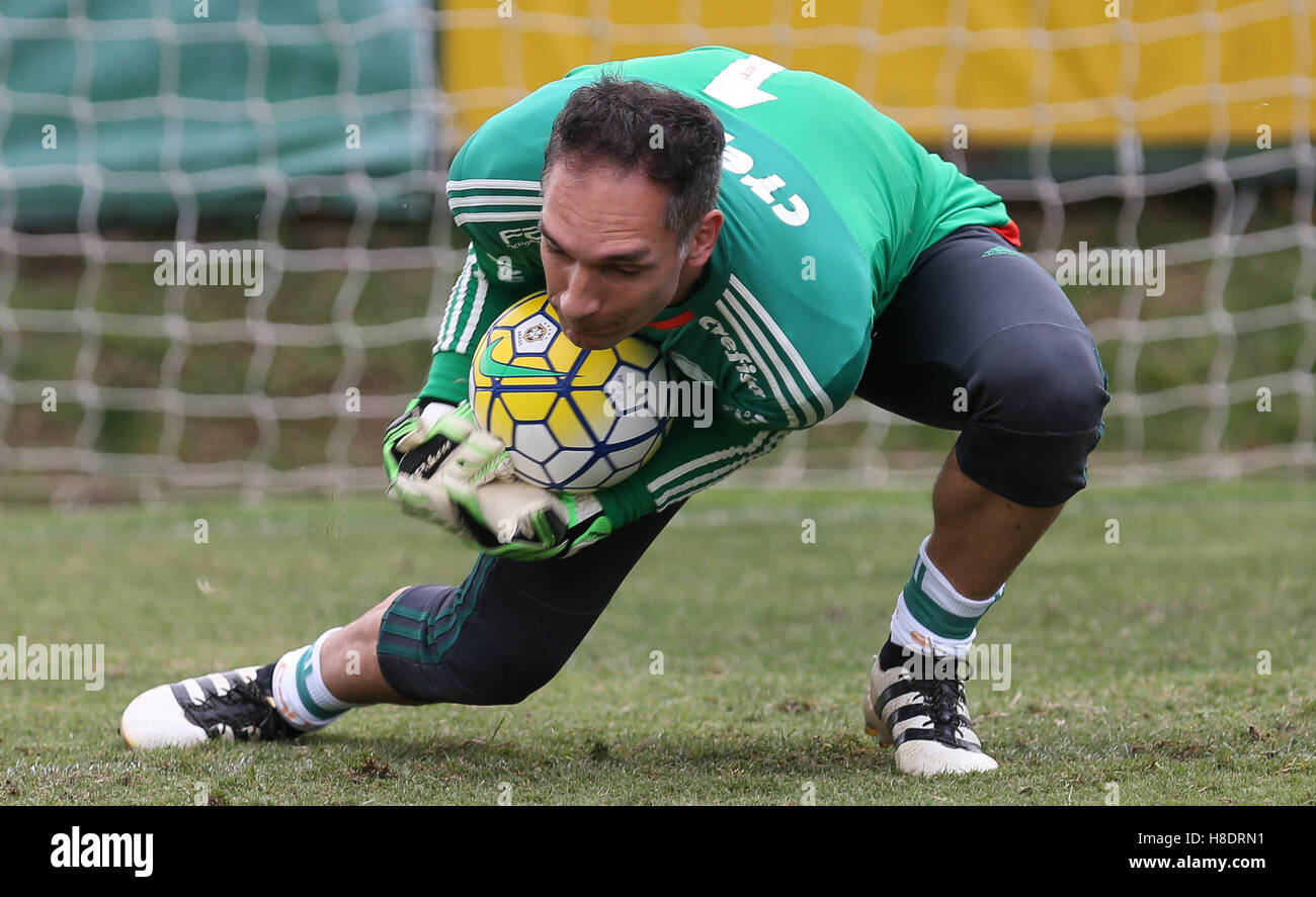 SÃO PAULO, SP - 11.11.2016: TREINO DO PALMEIRAS - The goalkeeper ...