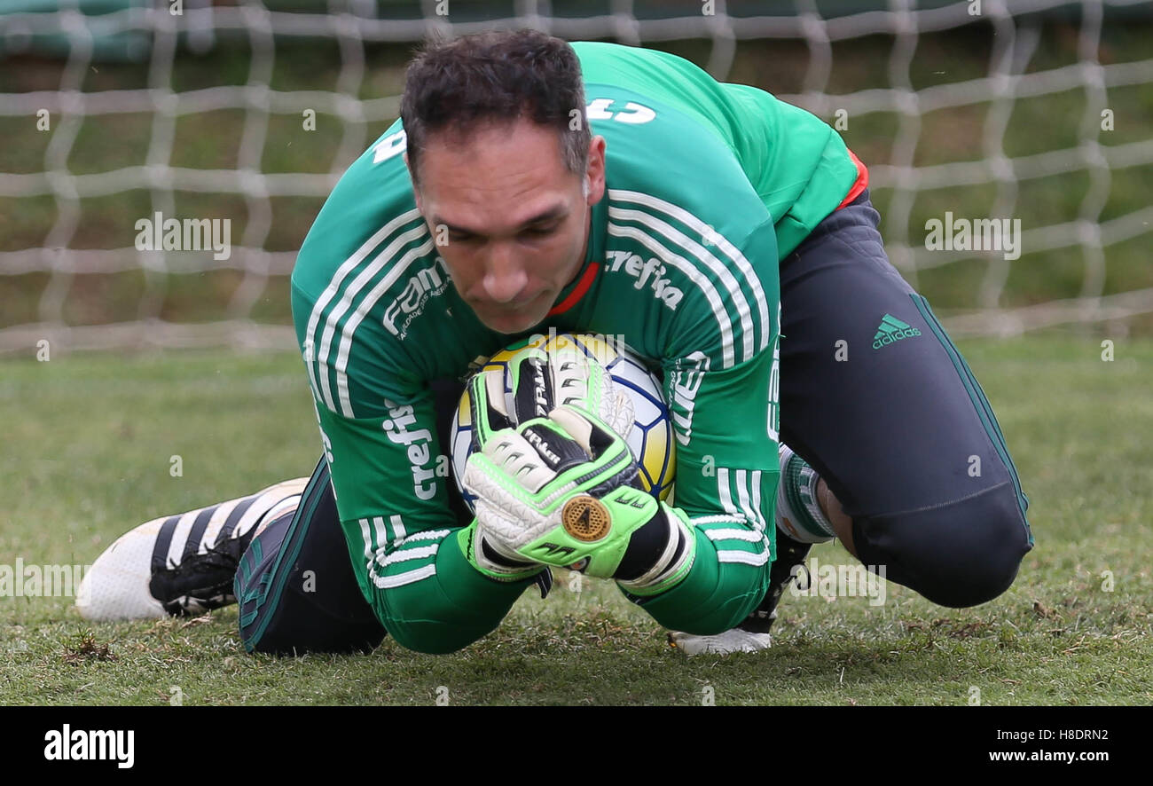 SÃO PAULO, SP - 11.11.2016: TREINO DO PALMEIRAS - The goalkeeper ...