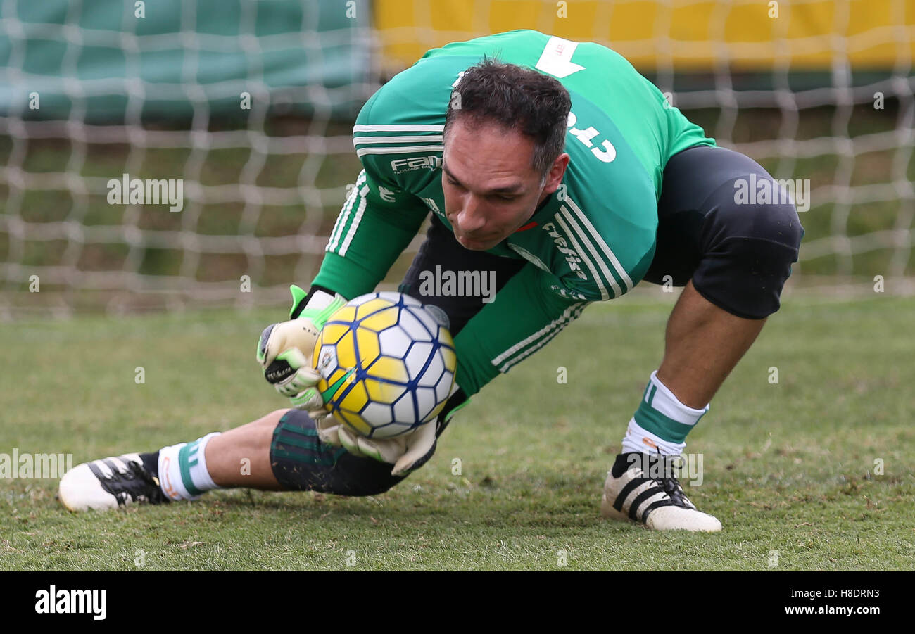 SÃO PAULO, SP - 11.11.2016: TREINO DO PALMEIRAS - The goalkeeper ...