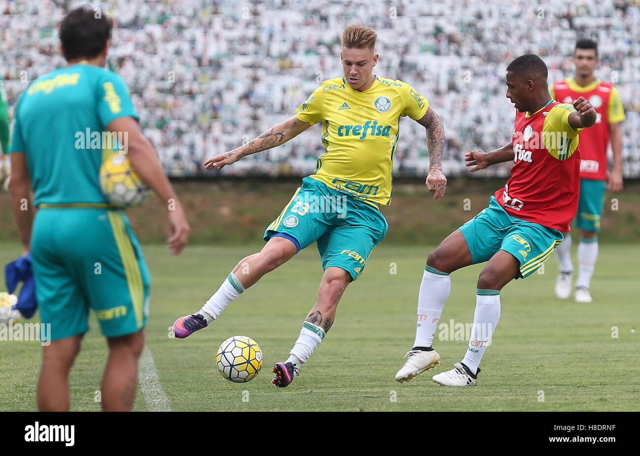 Matheus guedes hi-res stock photography and images - Alamy