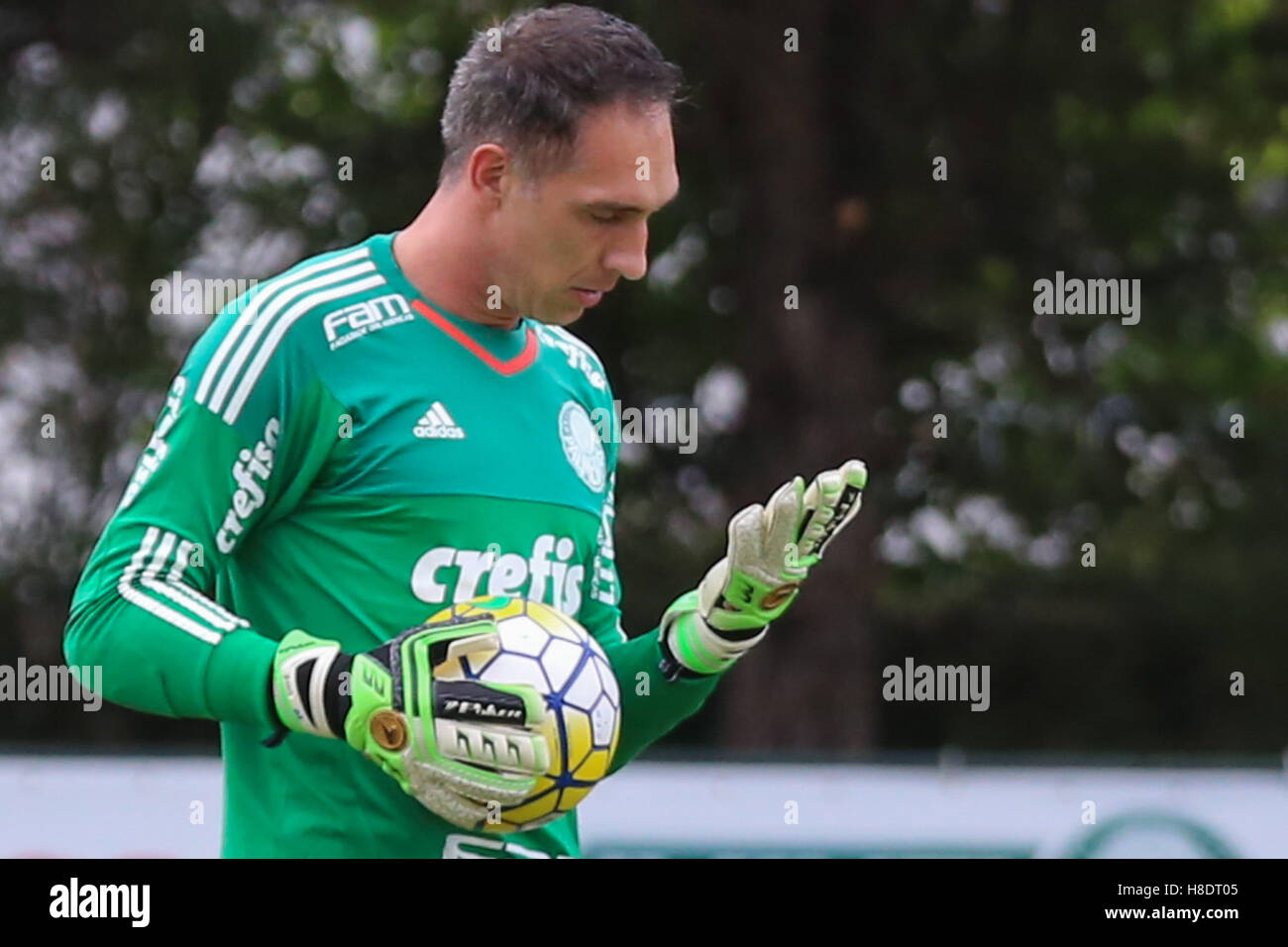 SÃO PAULO, SP - 11.11.2016: TREINO DO PALMEIRAS - Pictured goalkeeper ...