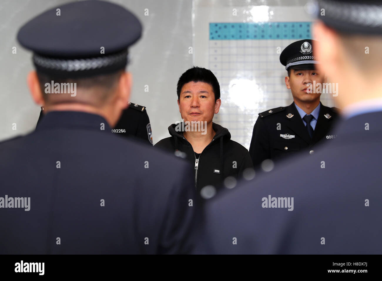 Horse capital of australia hi-res stock photography and images - Alamy