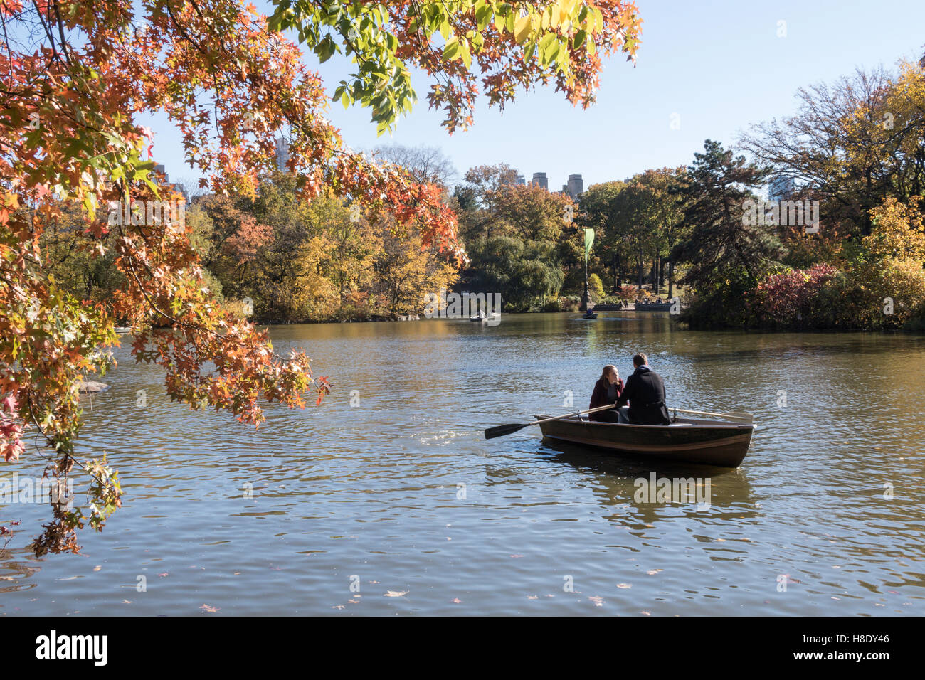 Couple in Rowboat in The Lake, Central Park in Autumn, NYC Stock Photo ...