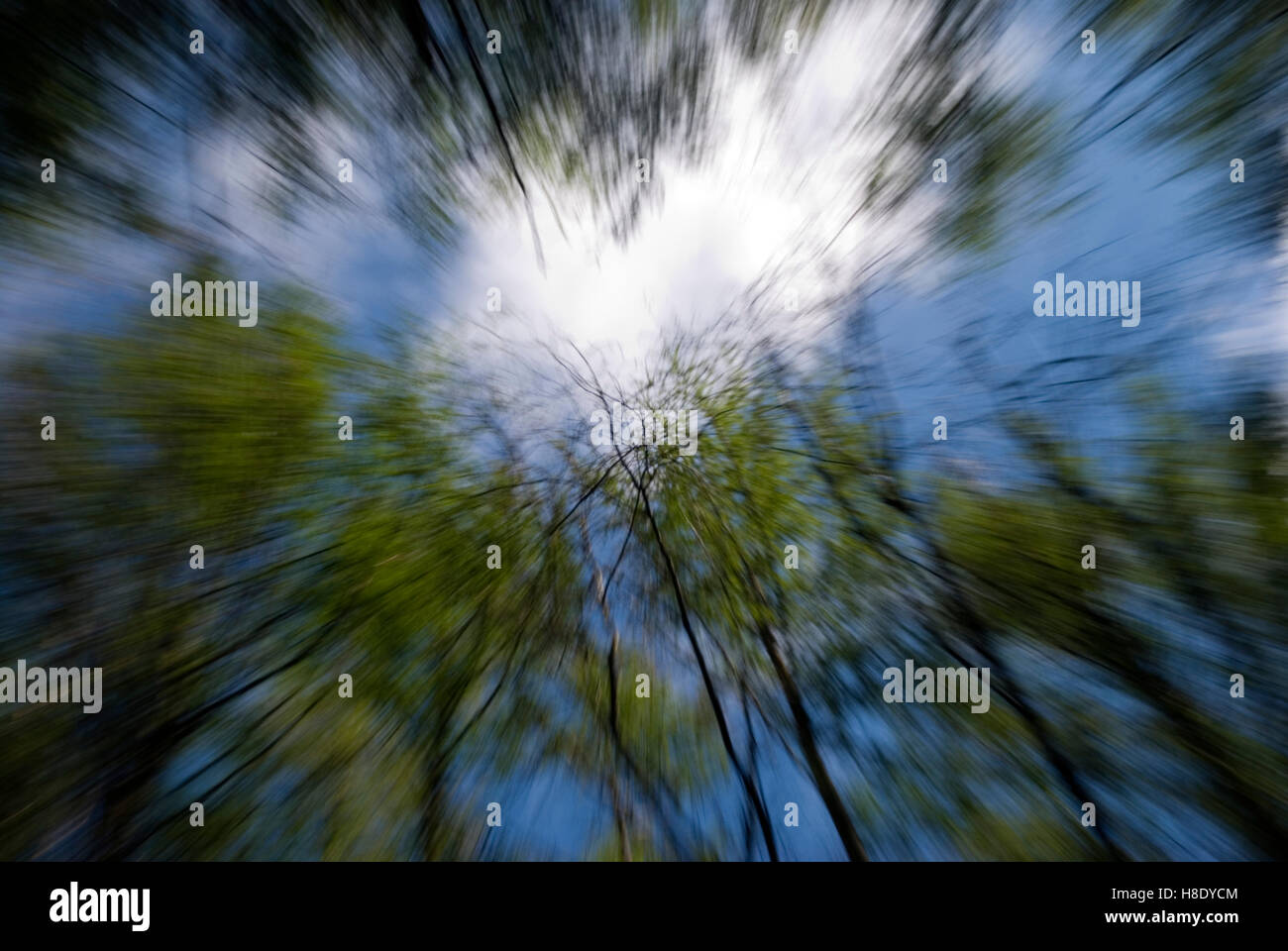 Burst Of Speed High Resolution Stock Photography and Images - Alamy