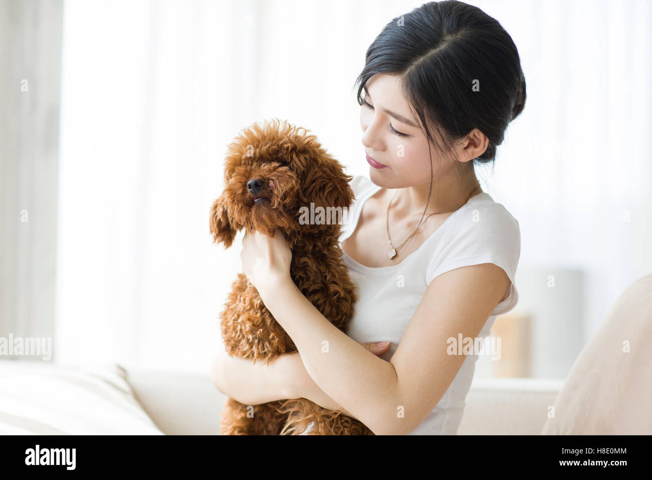 Woman toy poodle hi-res stock photography and images - Alamy
