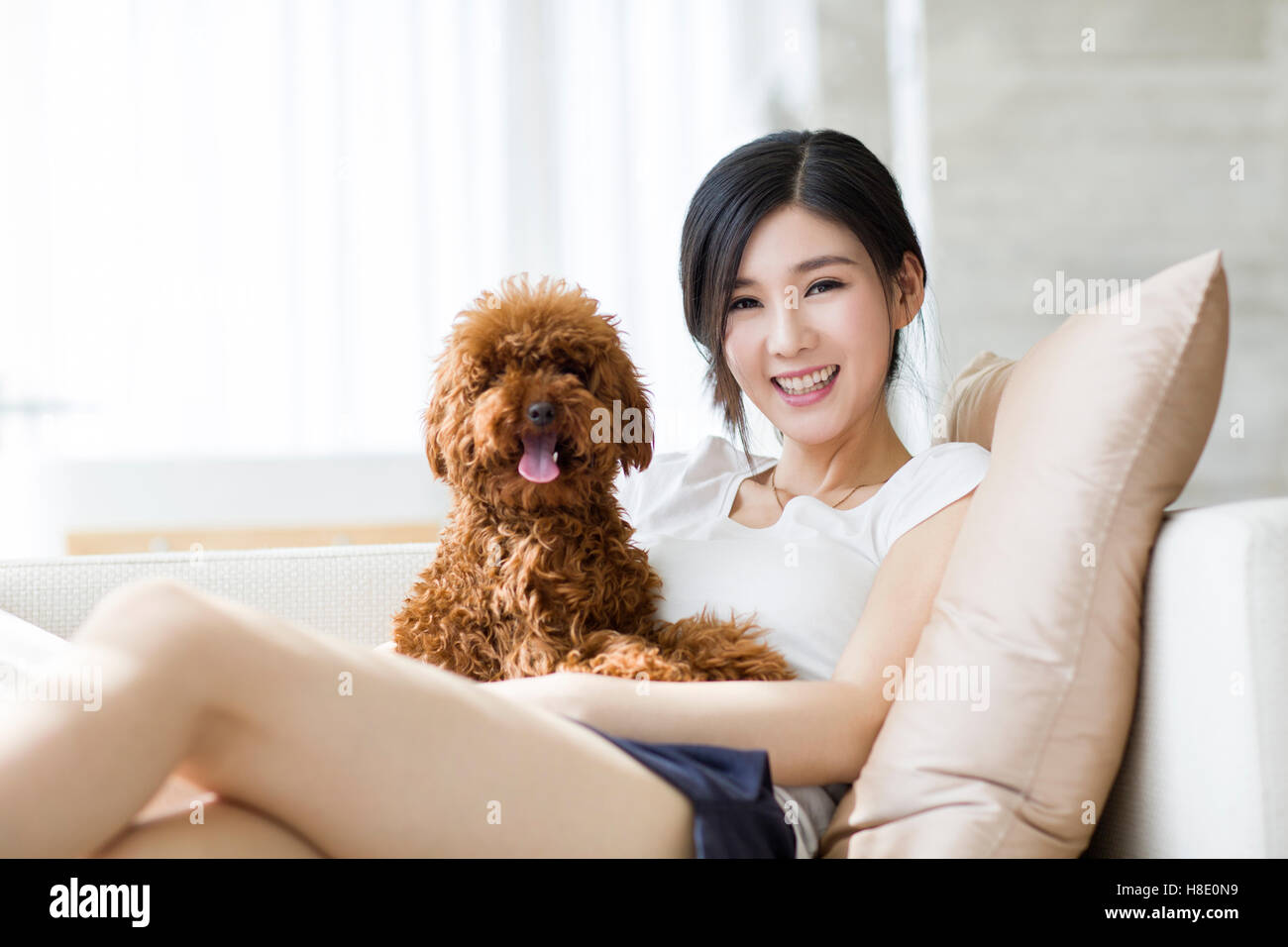 China beijing poodle hi-res stock photography and images - Alamy