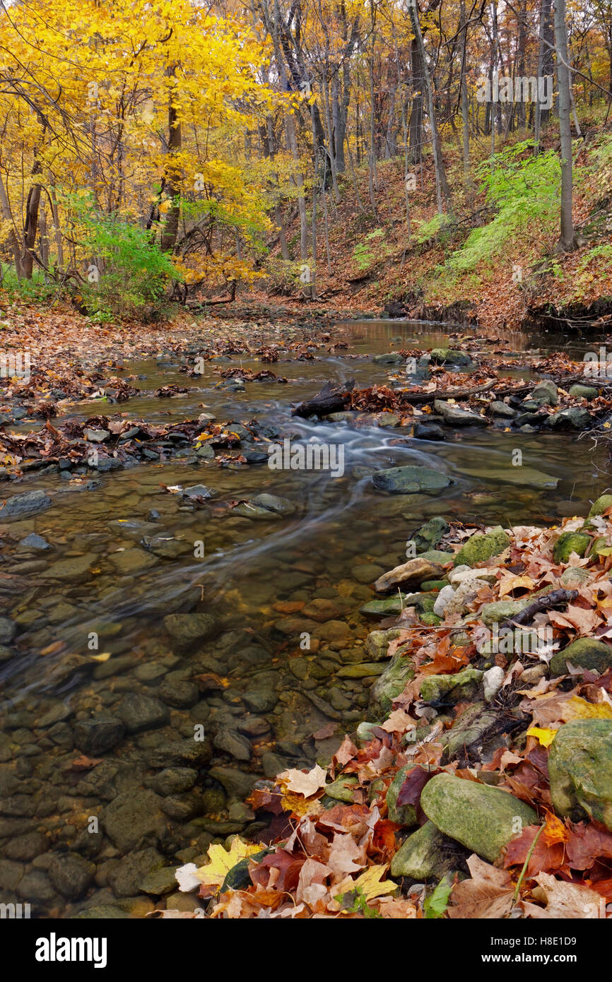Tranquil stream meanders through woodland hi-res stock photography and ...