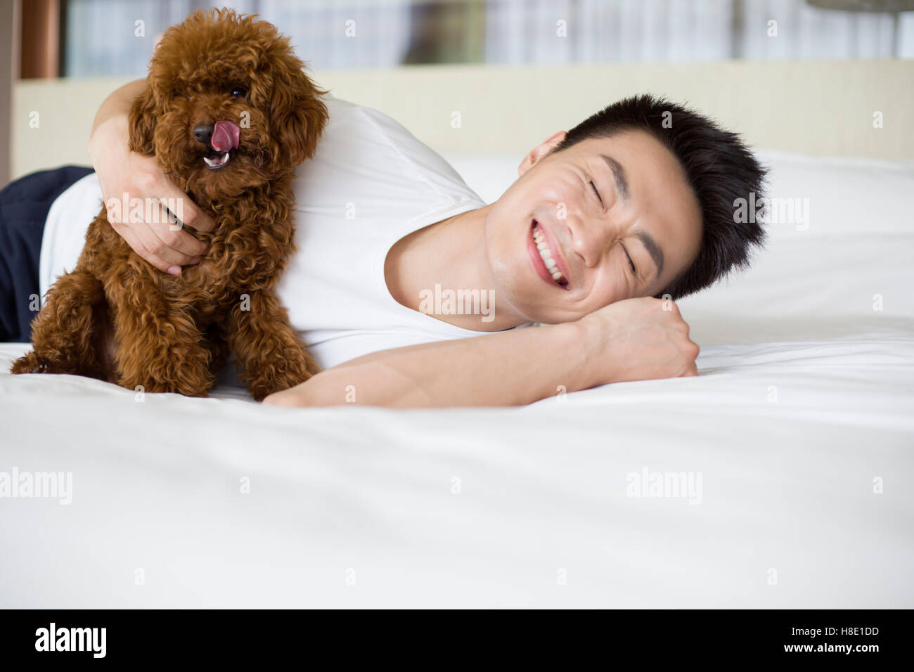 Young Chinese man playing with a pet poodle at home Stock Photo - Alamy