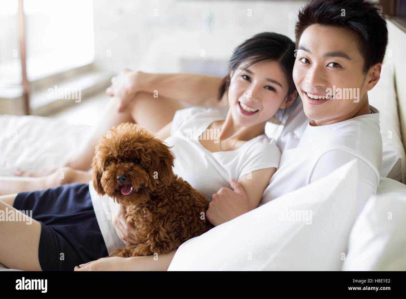 China beijing poodle hi-res stock photography and images - Alamy