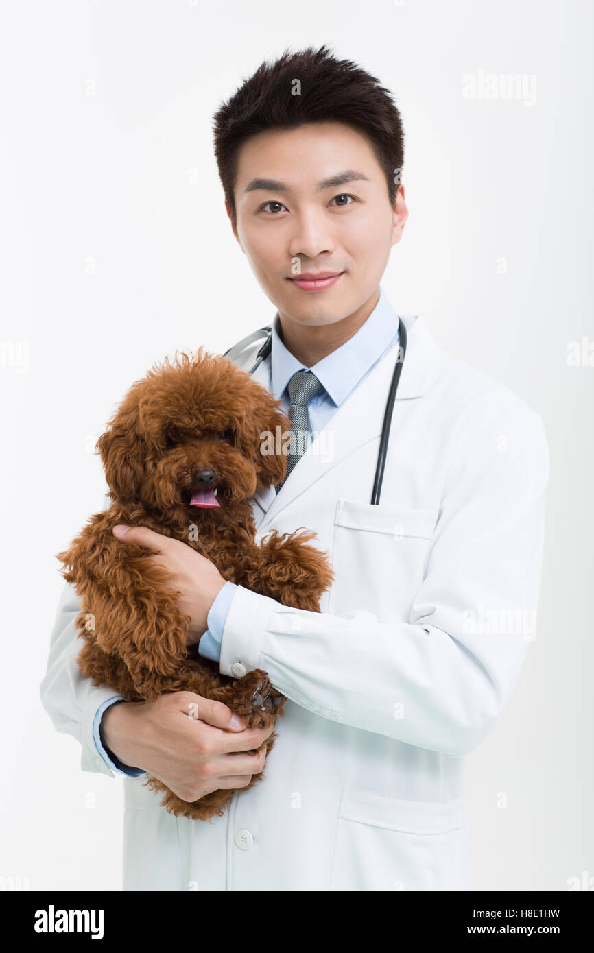 Chinese vet hi-res stock photography and images - Alamy