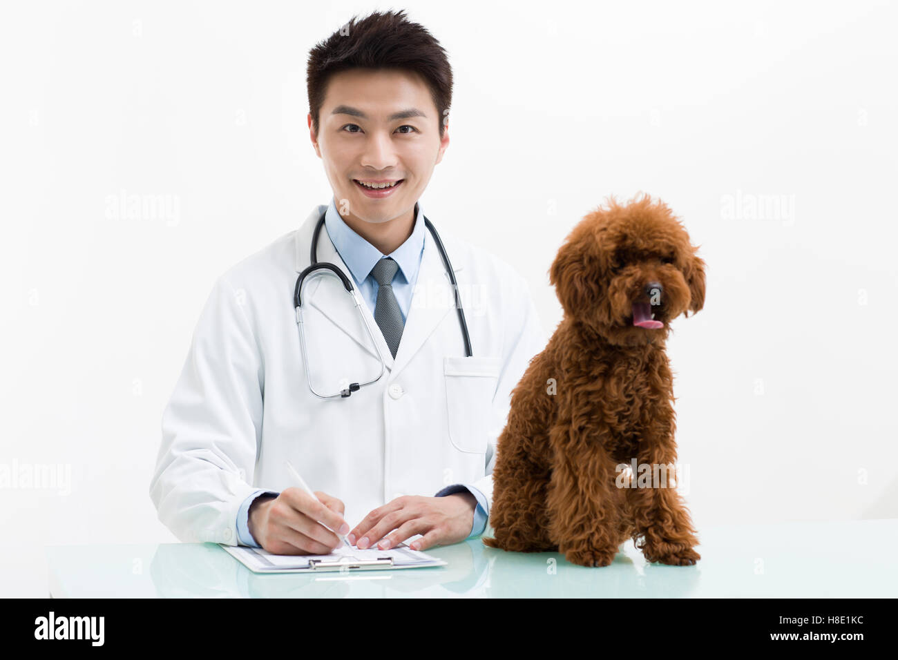 Indian vet hi-res stock photography and images - Alamy