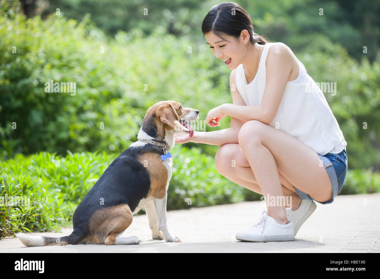 Young Chinese woman playing with a cute dog Stock Photo - Alamy