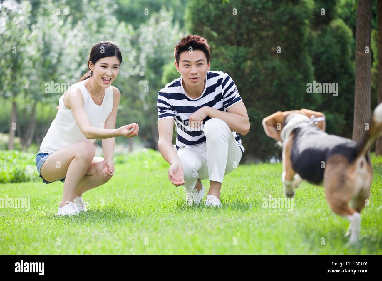 Young Chinese couple playing with a cute dog Stock Photo - Alamy