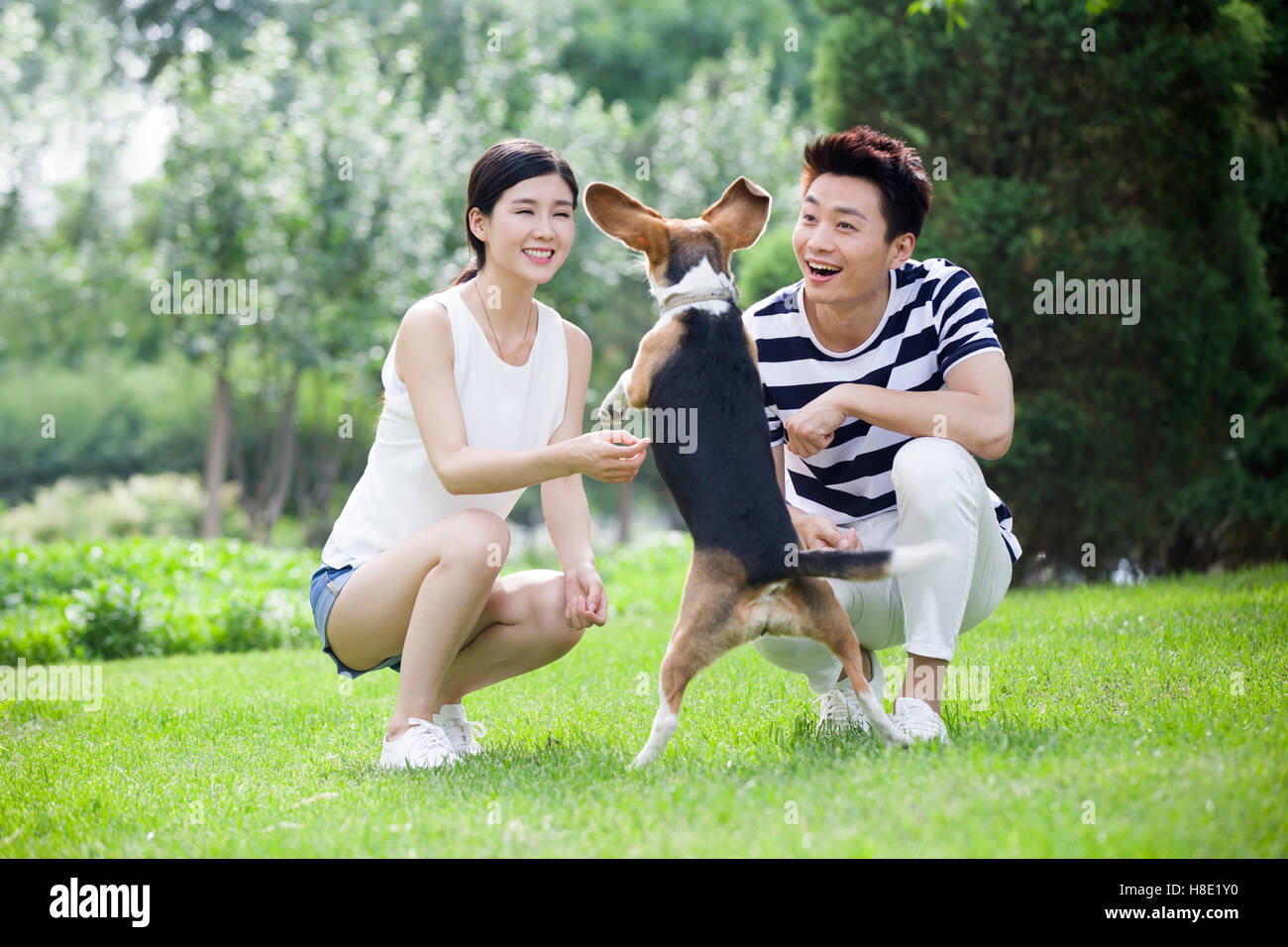 Young Chinese couple playing with a cute dog Stock Photo - Alamy