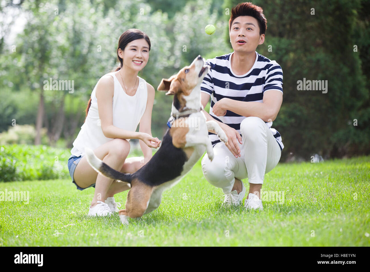 Young Chinese couple playing with a cute dog Stock Photo - Alamy