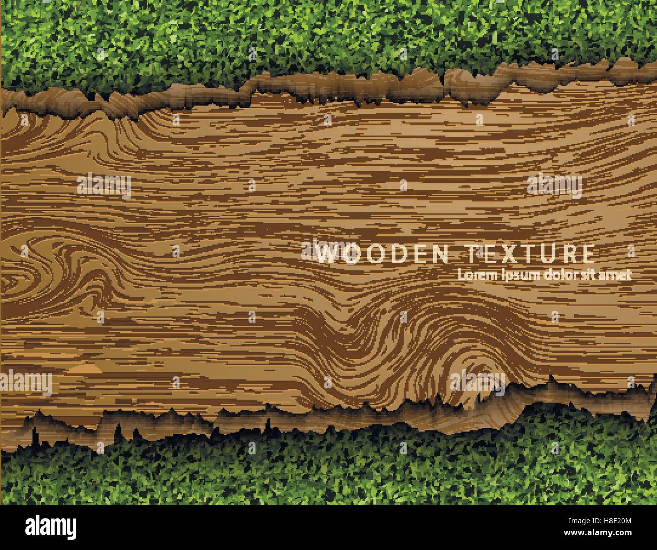 Realistic wood texture Stock Vector Image & Art - Alamy