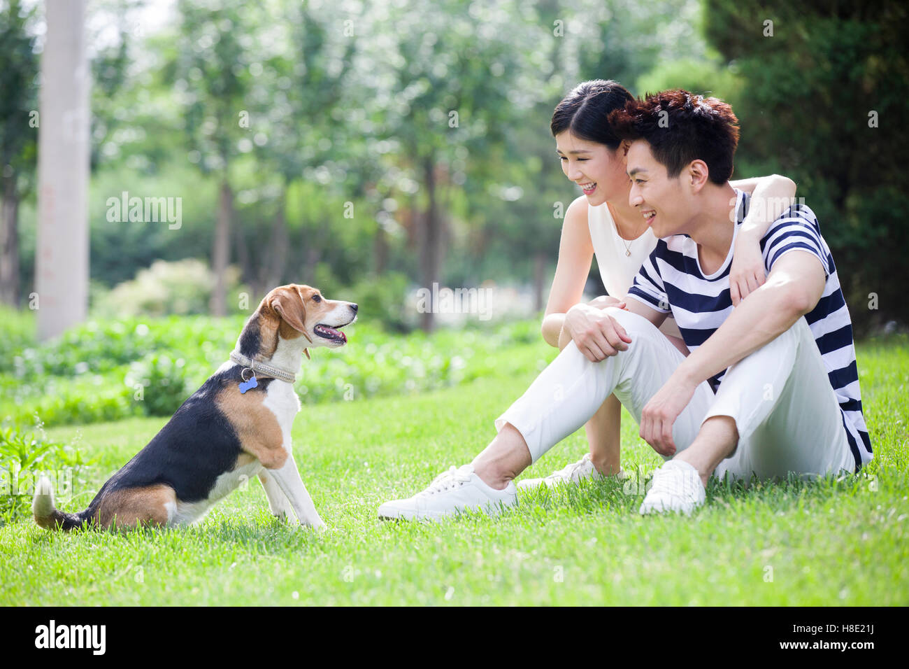 Young Chinese couple playing with a cute dog Stock Photo - Alamy