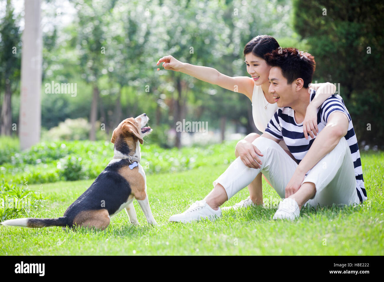 Young Chinese couple playing with a cute dog Stock Photo - Alamy