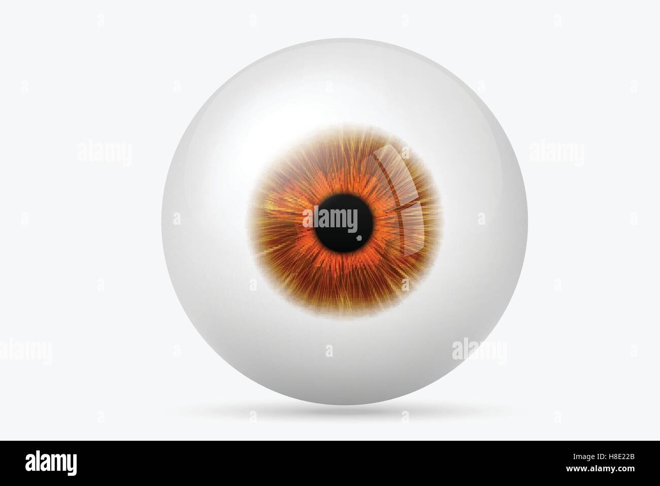 The human eye Stock Vector Image & Art - Alamy