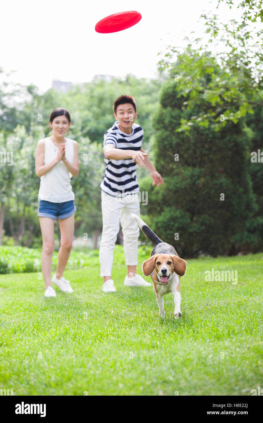 Young Chinese couple playing with a cute dog Stock Photo - Alamy